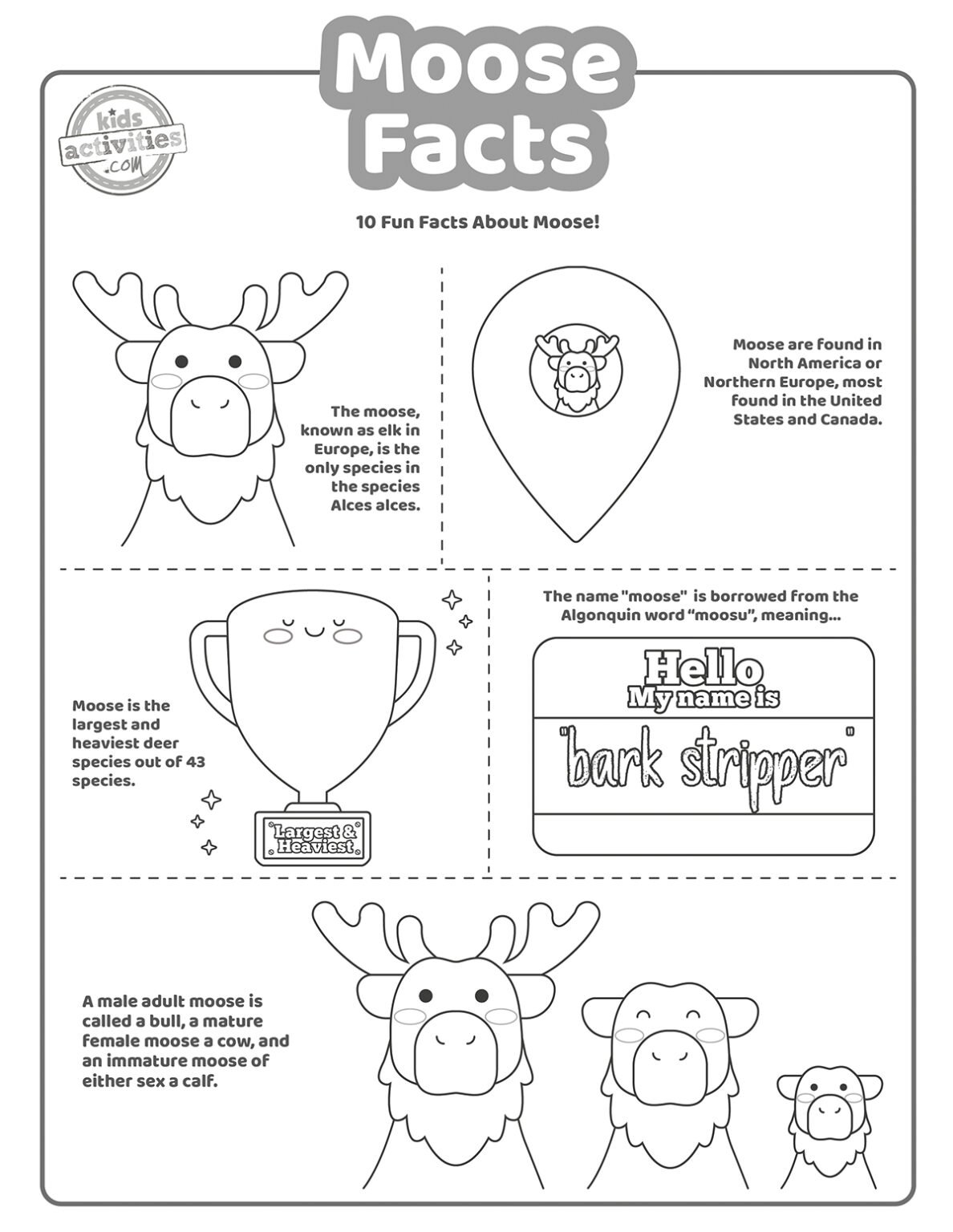 Moose Facts For Kids of All Ages Kids Activities Blog
