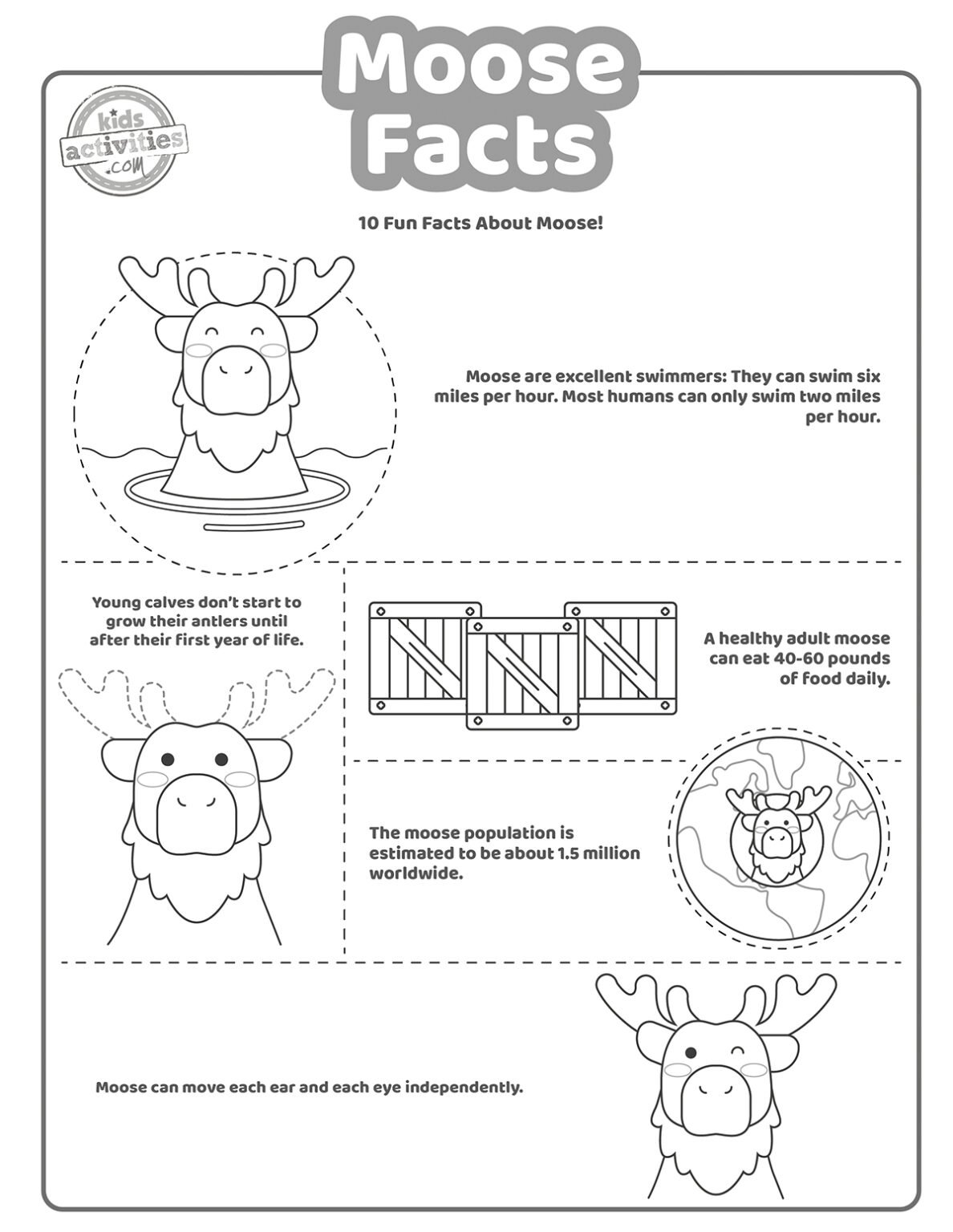 Moose Facts For Kids of All Ages Kids Activities Blog