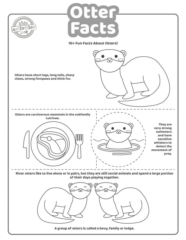 Intriguing Otter Facts for Kids to Print | Kids Activities Blog