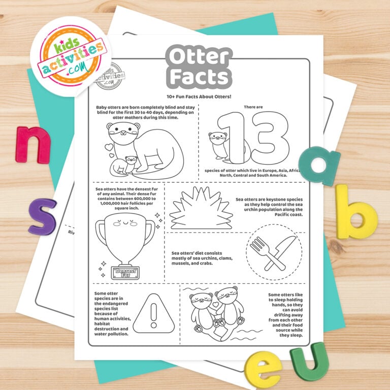 Intriguing Otter Facts for Kids to Print | Kids Activities Blog
