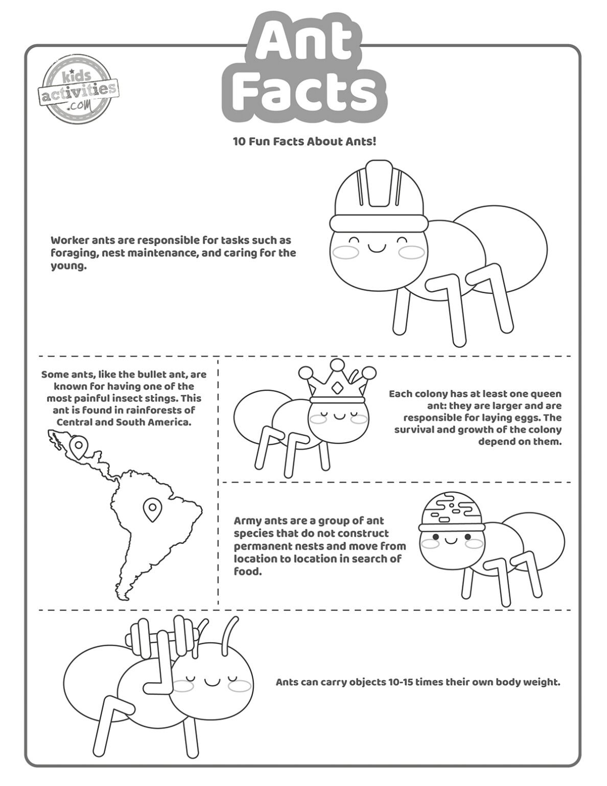 Fun Ant Facts For Kids | Kids Activities Blog