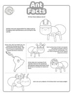 Fun Ant Facts For Kids | Kids Activities Blog