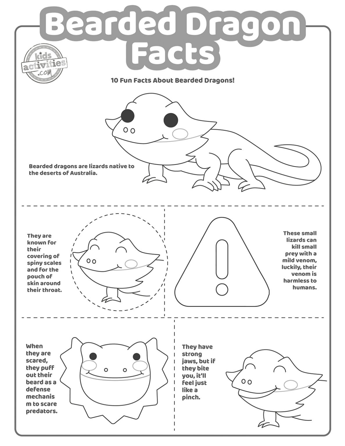 Bearded Dragon Facts That Will Blow Your Mind | Kids Activities Blog