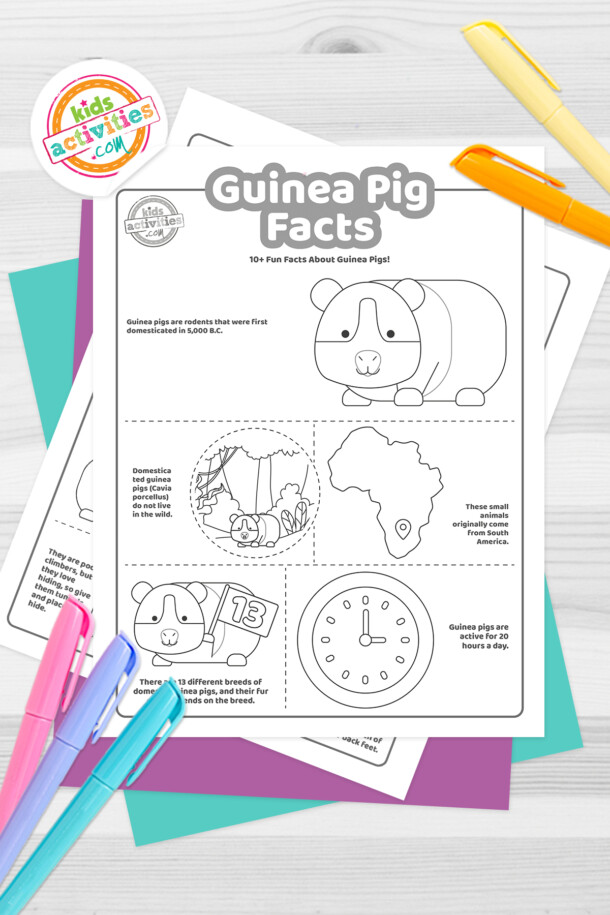 Fun Lion Facts That You Didn't Know About! | Kids Activities Blog