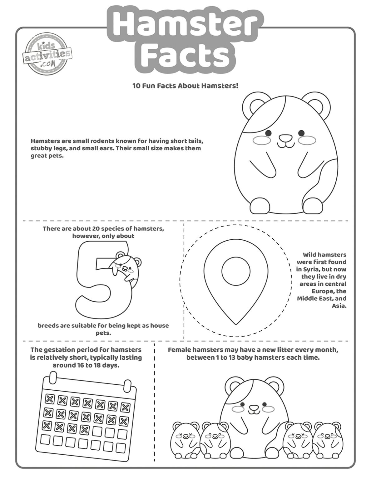 Short and Fun Hamster Facts For Kids | Kids Activities Blog