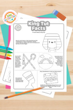 Brain Facts That Are Fascinating To Learn | Kids Activities Blog
