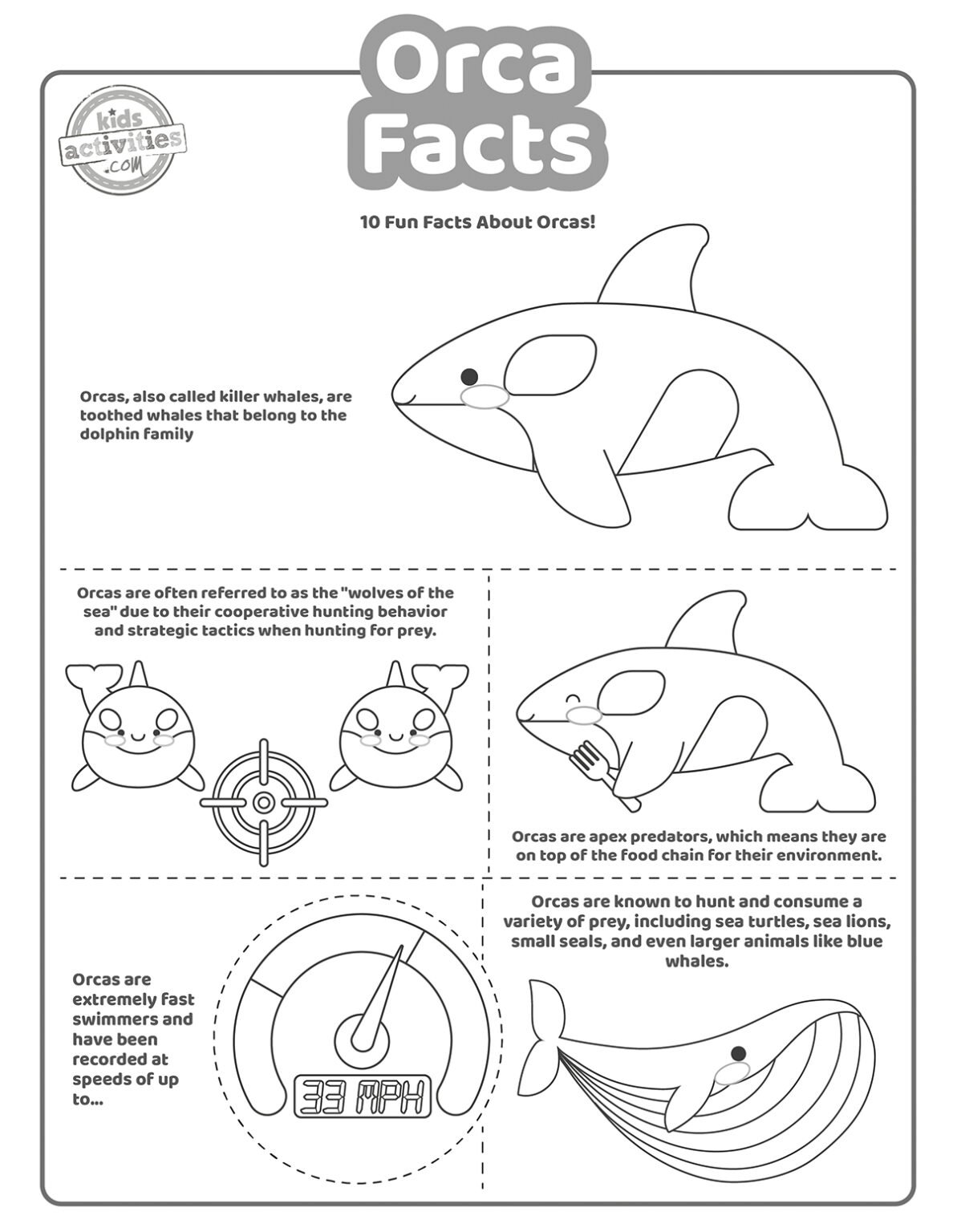 Cool Orca Facts | Kids Activities Blog