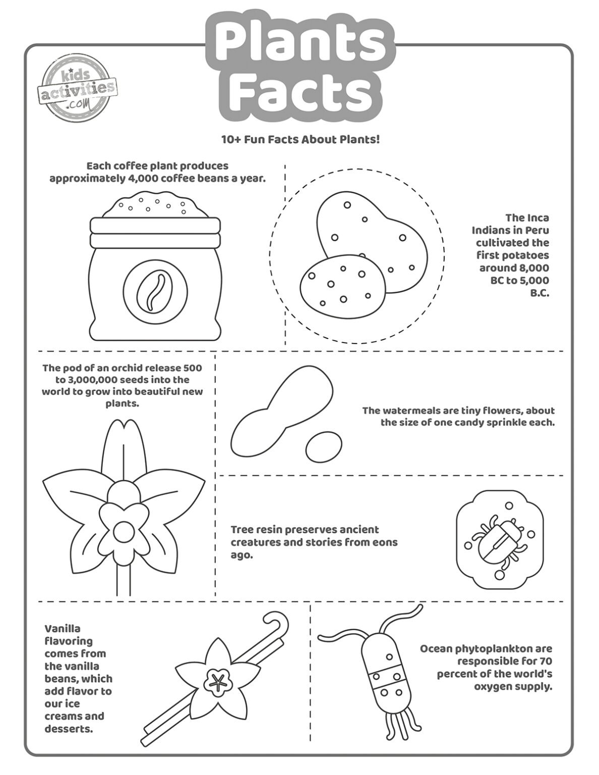 Really Cool Facts About Plants For Kids Kids Activities Blog