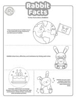 10 Rabbit Facts For Kids and Owners | Kids Activities Blog