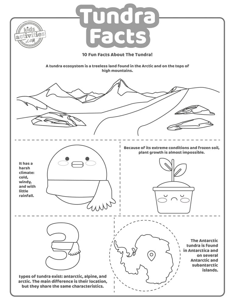 Printable Tundra Facts For Kids | Kids Activities Blog