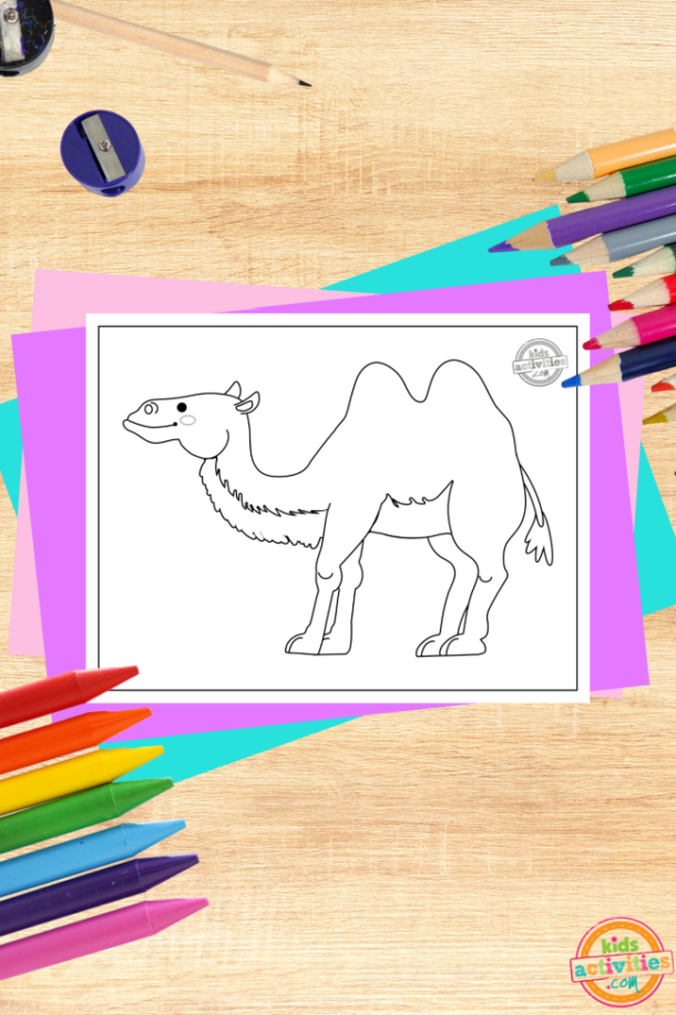 Free Printable Bactrian Camel Coloring Pages For Kids | Kids Activities ...
