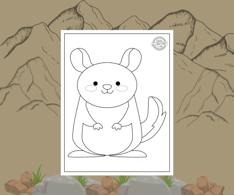 The Most Adorable Printable Chinchilla Coloring Page | Kids Activities Blog