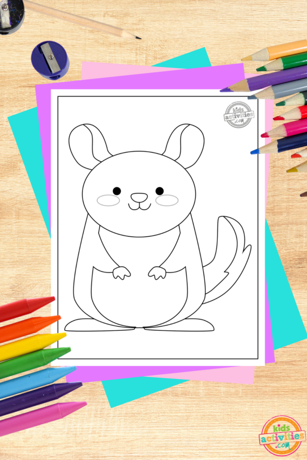 The Most Adorable Printable Chinchilla Coloring Page | Kids Activities Blog