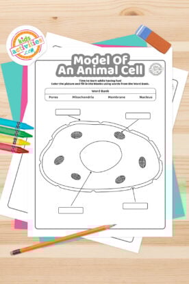 Printable Winter Activity Sheets for Kids | Kids Activities Blog