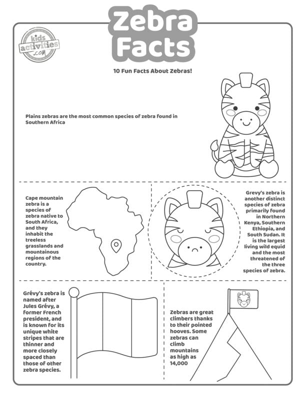 Zoom into these 10 Zany Zebra Facts for Kids | Kids Activities Blog