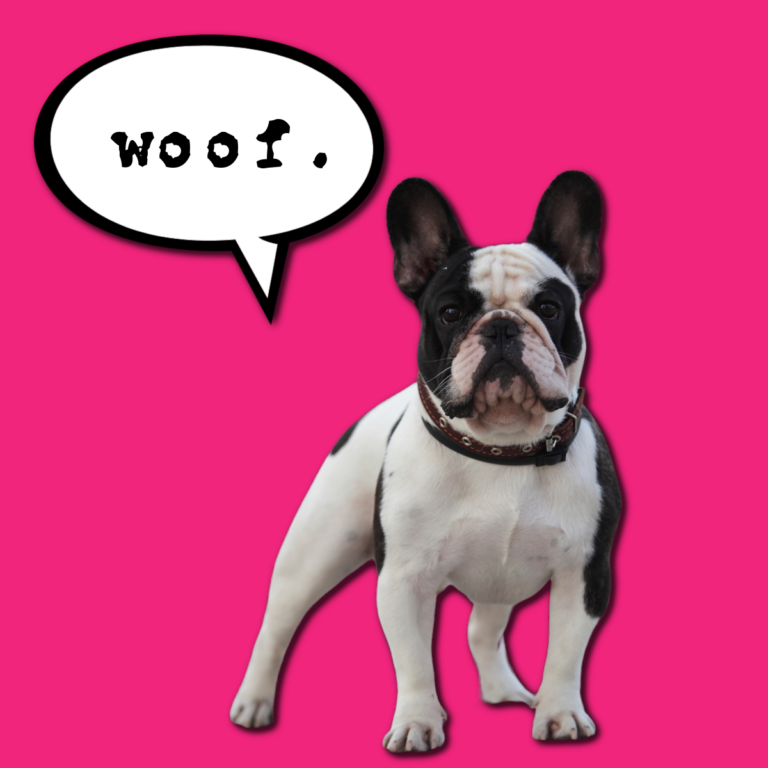 7 Public Speaking Exercises for Kids | Kids Activities Blog