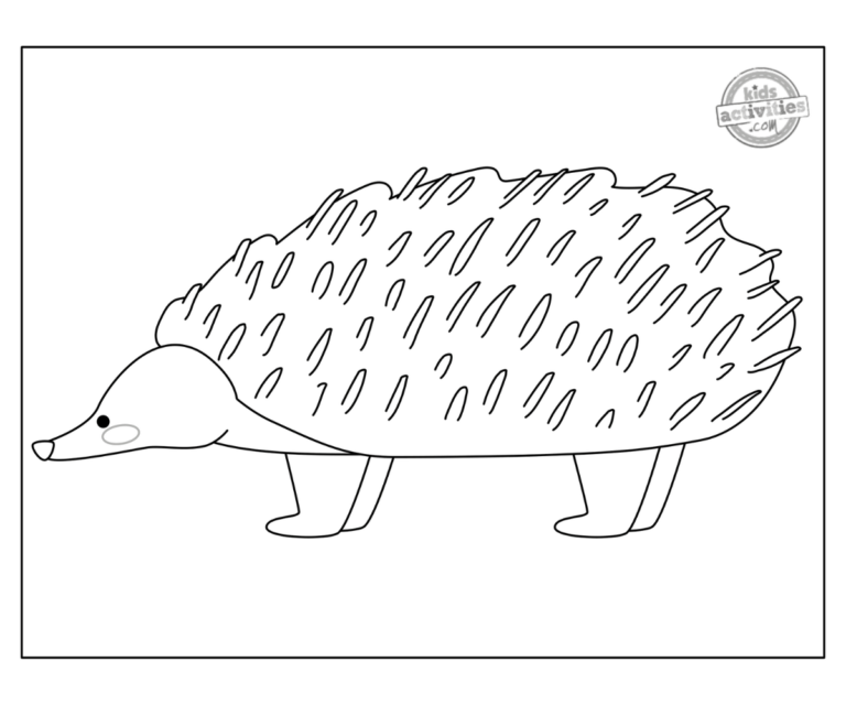 Unique Printable Echidna Coloring Page | Kids Activities Blog