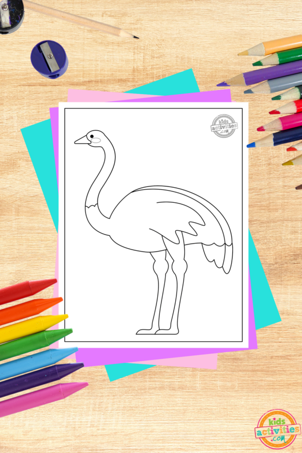Excellent Emu Coloring Page For Kids | Kids Activities Blog