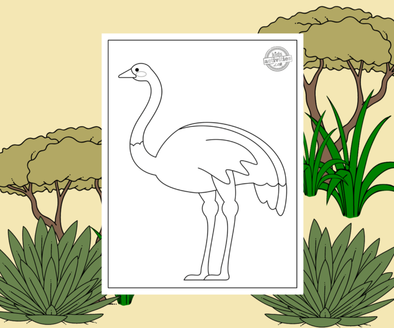 Excellent Emu Coloring Page For Kids | Kids Activities Blog