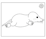Adorable Printable Mole Coloring Page | Kids Activities Blog
