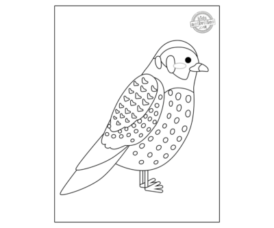 Free Printable Kestrel Coloring Page | Kids Activities Blog