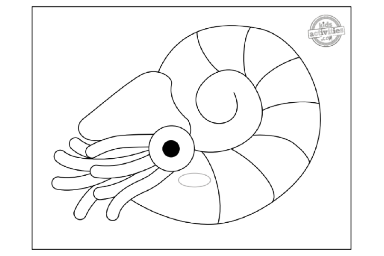 Free Printable Nautilus Coloring Page | Kids Activities Blog