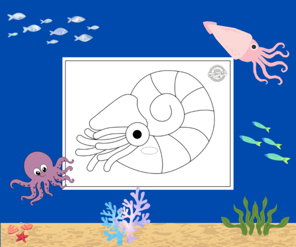 Free Printable Nautilus Coloring Page | Kids Activities Blog