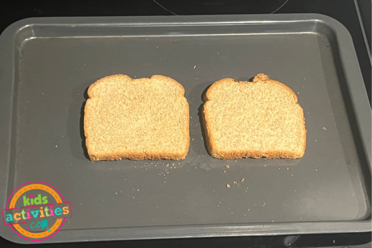 History for Kids: Ancient Roman Easy Snack Activity and Video | Kids ...