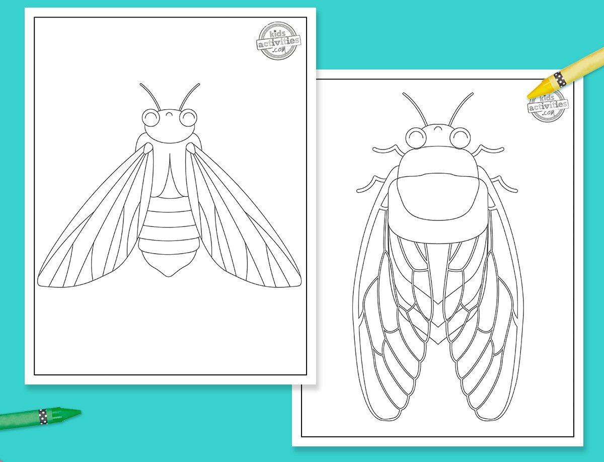 Cicada Coloring Pages For Kids of All Ages | Kids Activities Blog