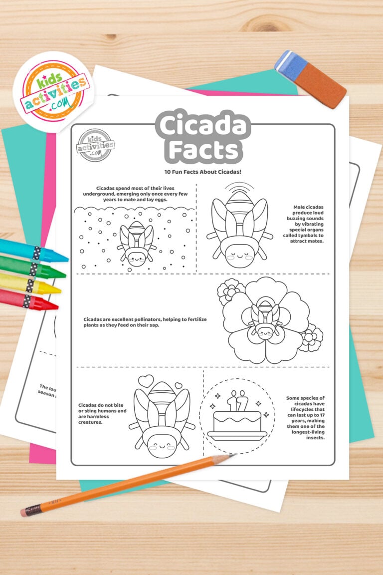 10 Fun Cicada Facts For Kids Kids Activities Blog