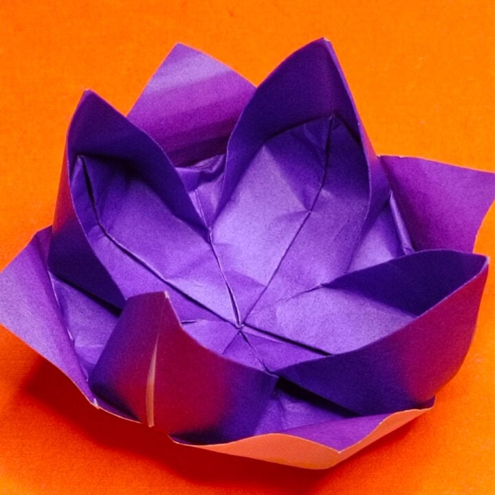 Lotus De Origami