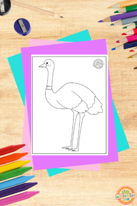 Free Printable Ostrich Coloring Page For Kids | Kids Activities Blog