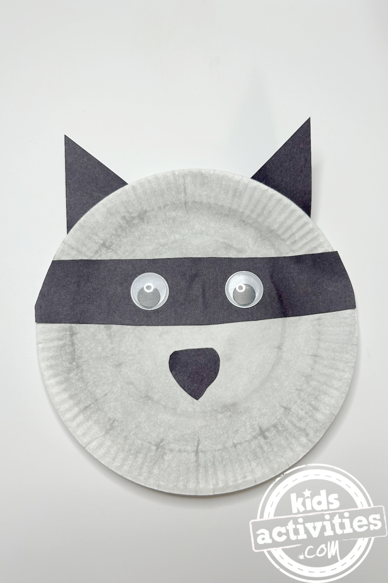 Adorable Raccoon Paper Plate Craft for Kids | Kids Activities Blog