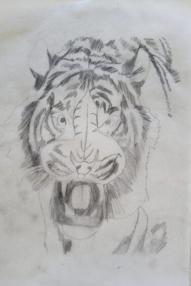 One Line Art Project Ideas for Kids | Kids Activities Blog