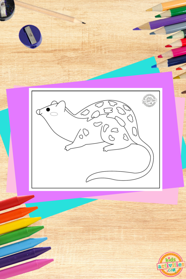 Free Printable Quoll Coloring Page For Kids | Kids Activities Blog