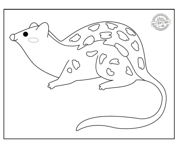 Free Printable Quoll Coloring Page For Kids | Kids Activities Blog