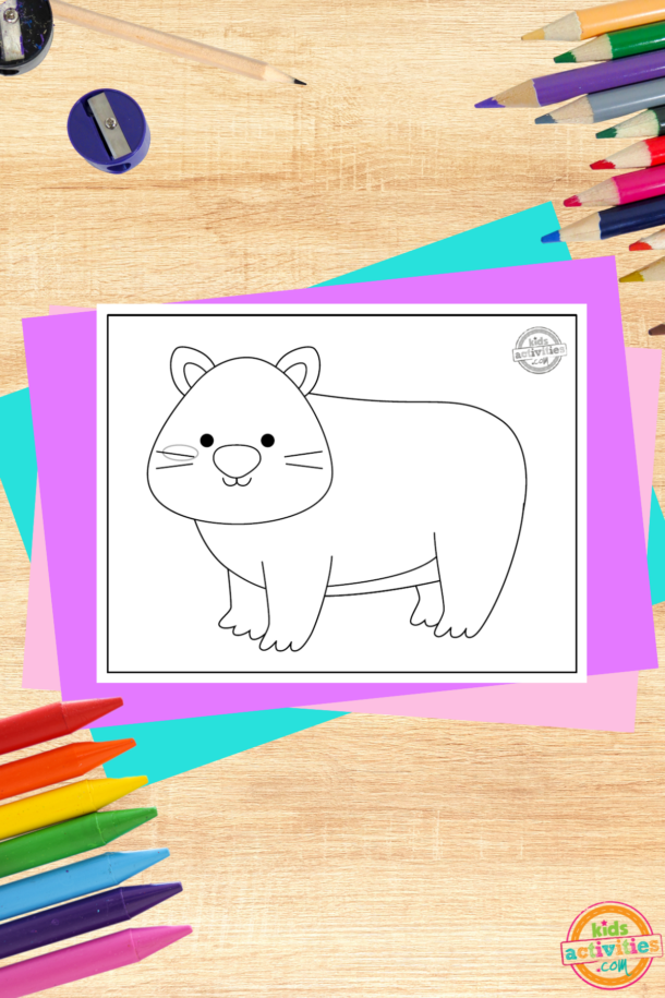 Free Printable Wombat Coloring Page | Kids Activities Blog