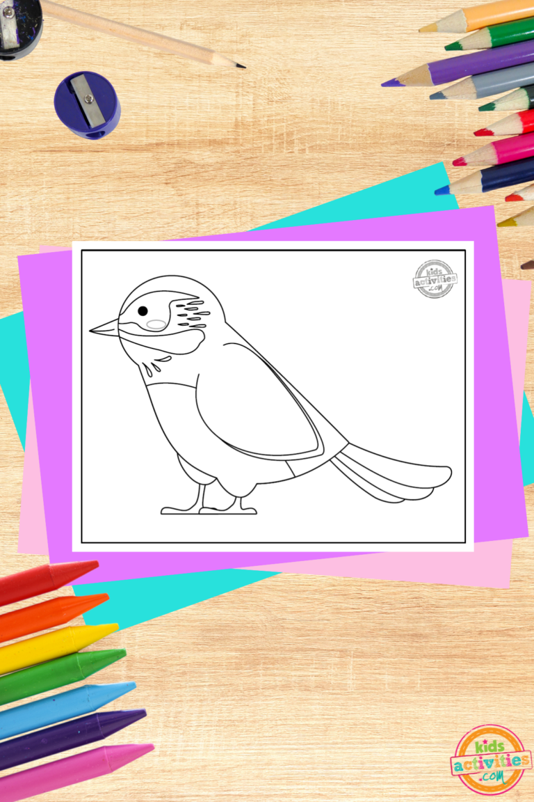 Cool Xenops Coloring Page | Kids Activities Blog