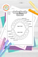 Baby Teeth Chart To Print Kids Activities Blog