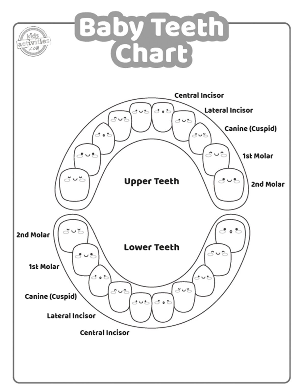 Baby Teeth Chart To Print Kids Activities Blog