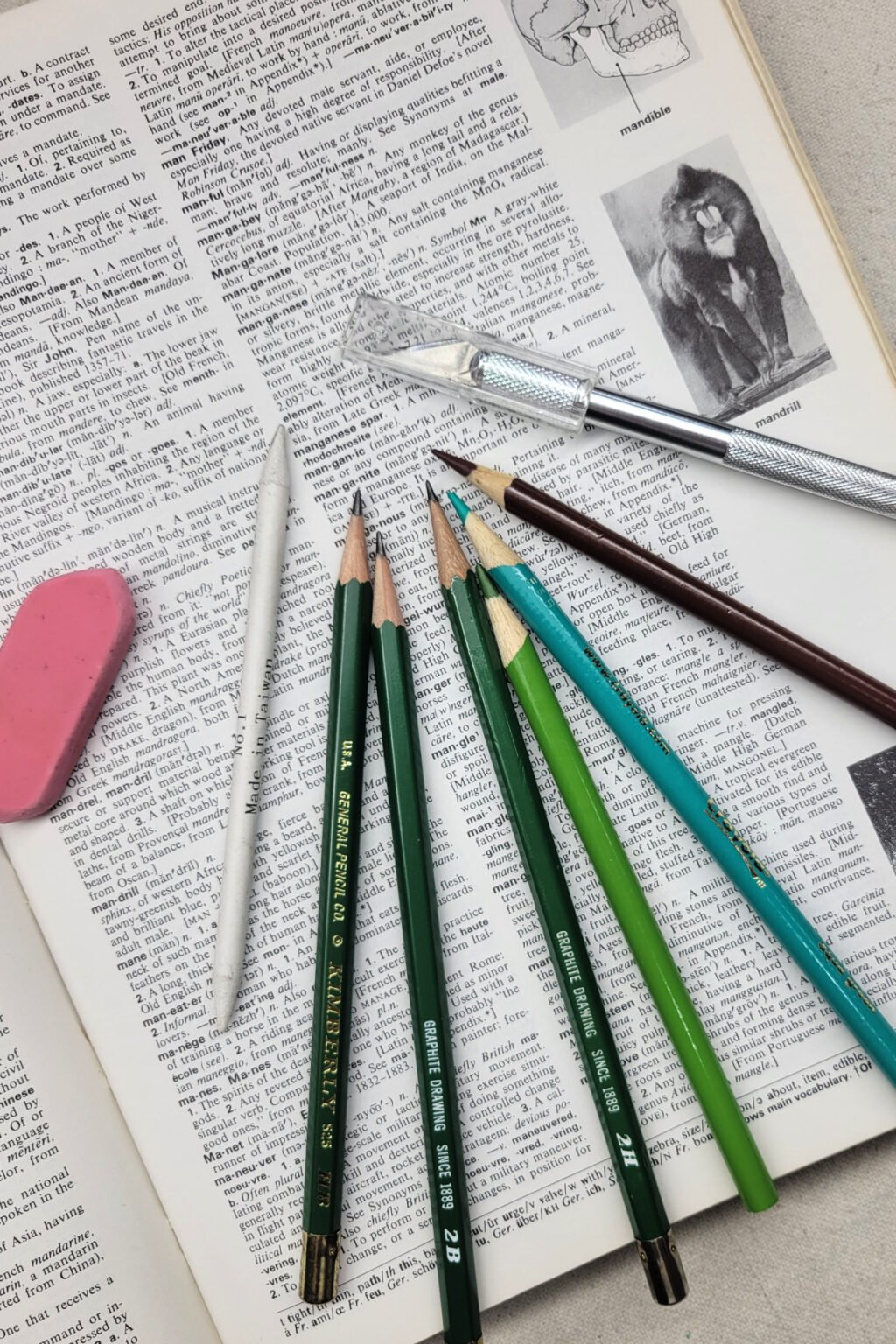 Dictionary Page Art Project for Kids • Kids Activities Blog