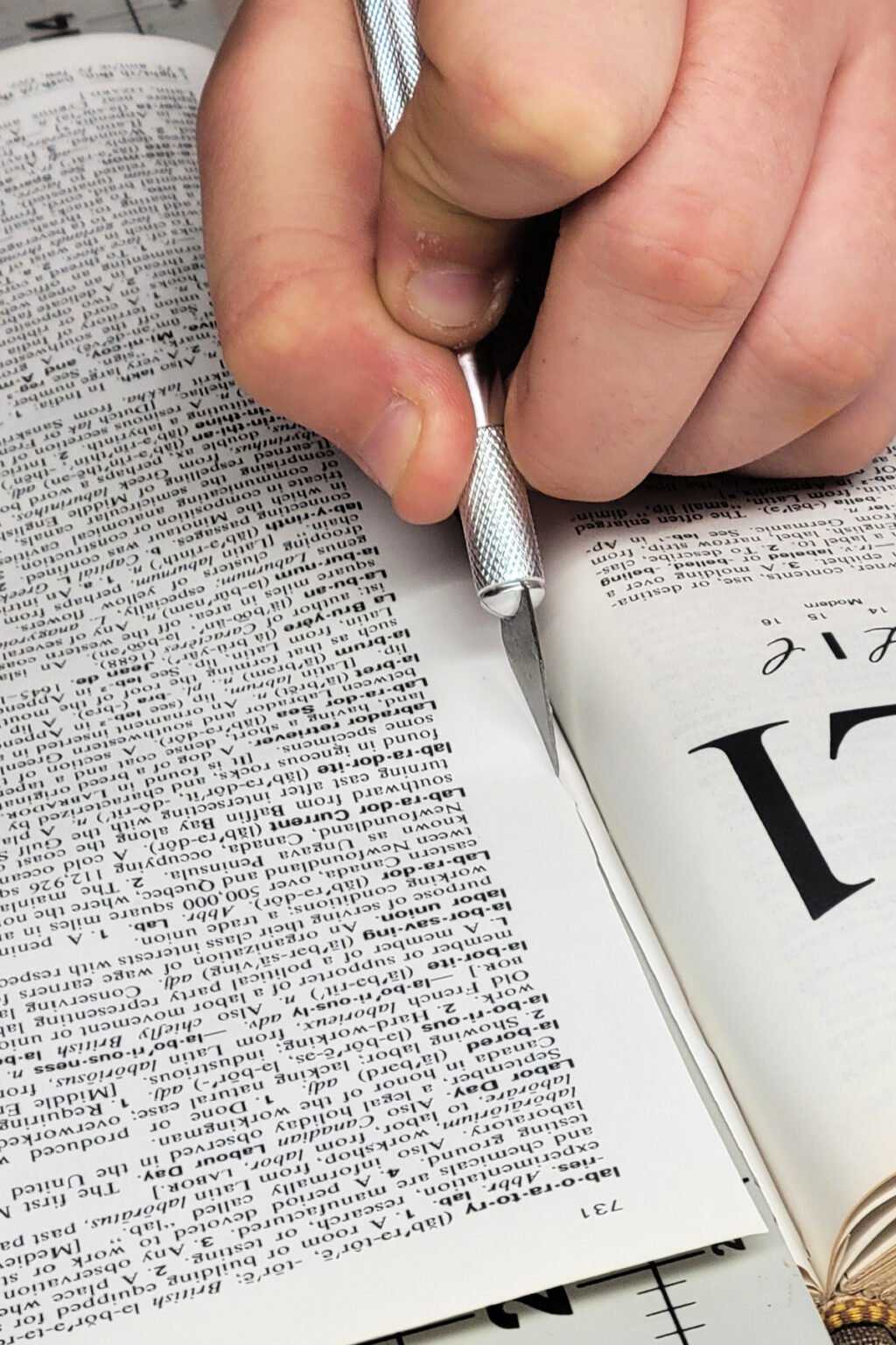 Dictionary Page Art Project for Kids • Kids Activities Blog