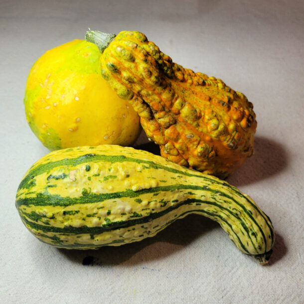 Fall Still Life Art Project for Kids • Kids Activities Blog