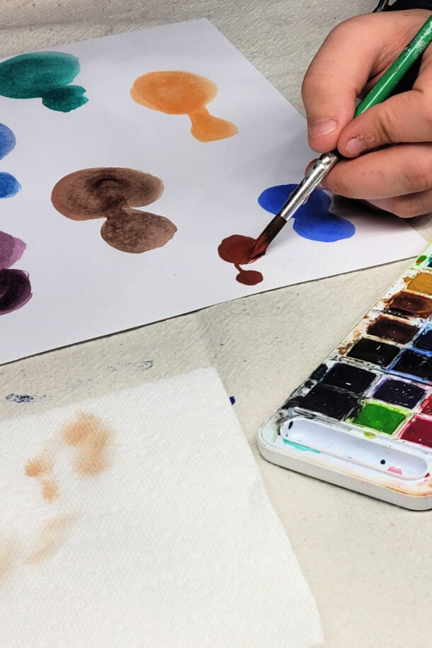 Colorful Turkeys Art Project for Kids • Kids Activities Blog