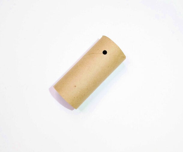 Alien Craft For Kids Using Toilet Paper Rolls – ParentingBest.com