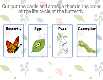 Explore the Butterfly Lifecycle with this Fun Printable Set Kids ...