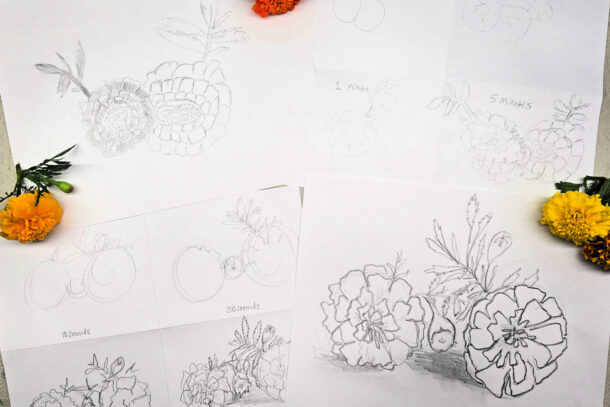 Timed Drawing Art Project for Older Kids • Kids Activities Blog