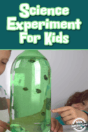Dancing Raisins Experiment For Kids | Kids Activities Blog