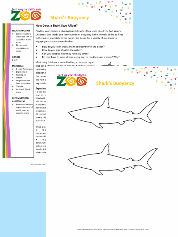 Sink Your Teeth Into Science: Shark Week Experiments for Kids | Kids ...