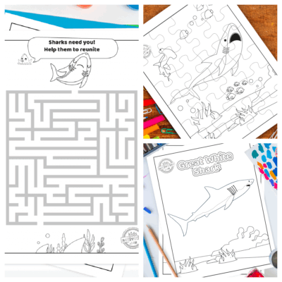 Bite Into Fun: Ideas for Hosting the Ultimate Shark Week Party | Kids ...